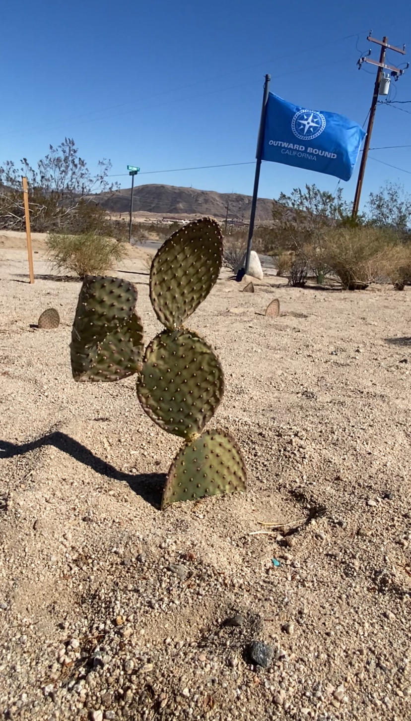 The New Kids (Cacti) on Campus – Outward Bound California